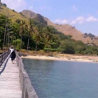 Komodo Island Tour - Komodo Tour Package - Flores Tour